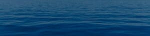 Chesapeake Bank, Personal & Business Banking Solutions